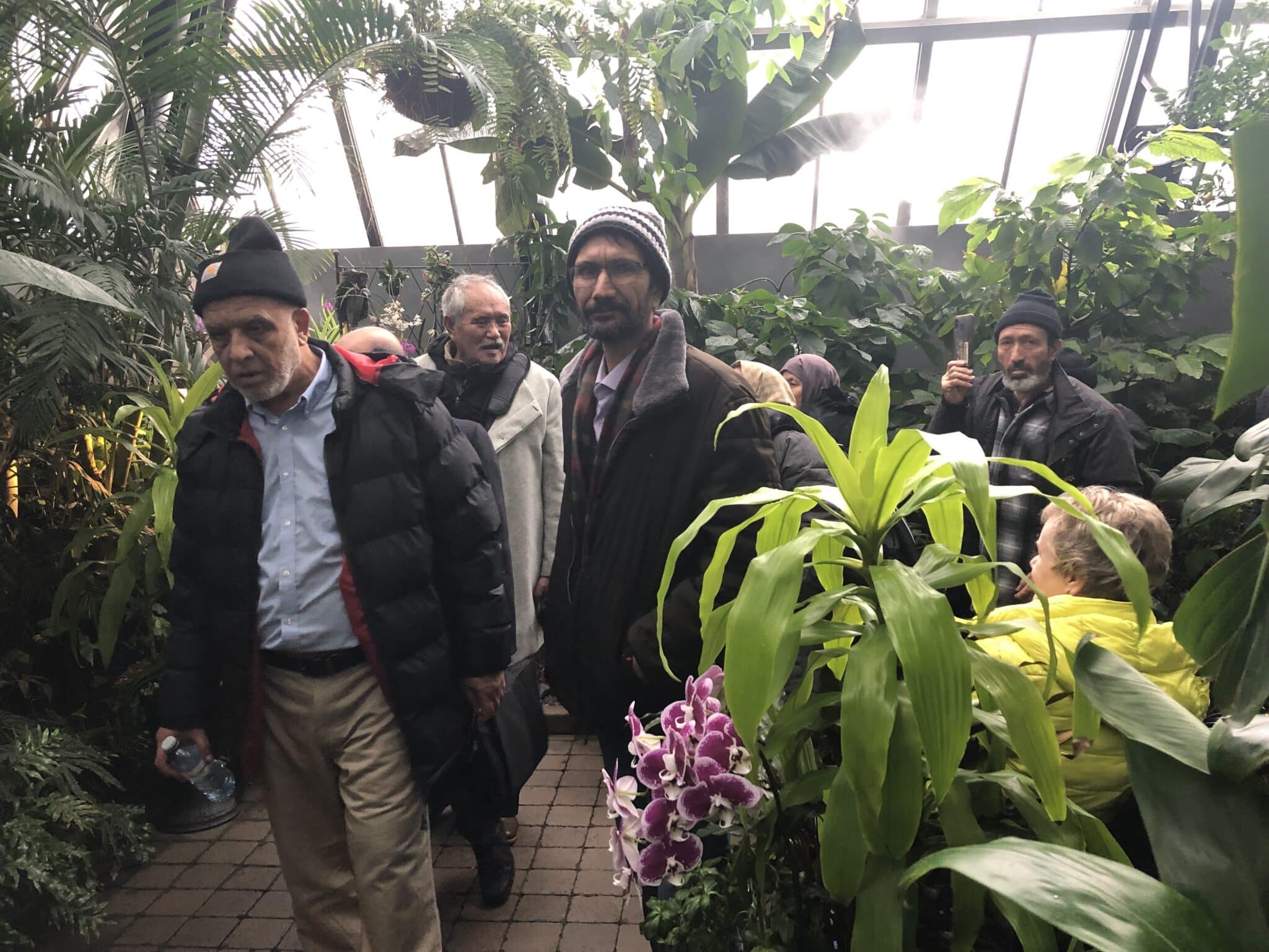 Seniors visit the Muttart! – AIWCC