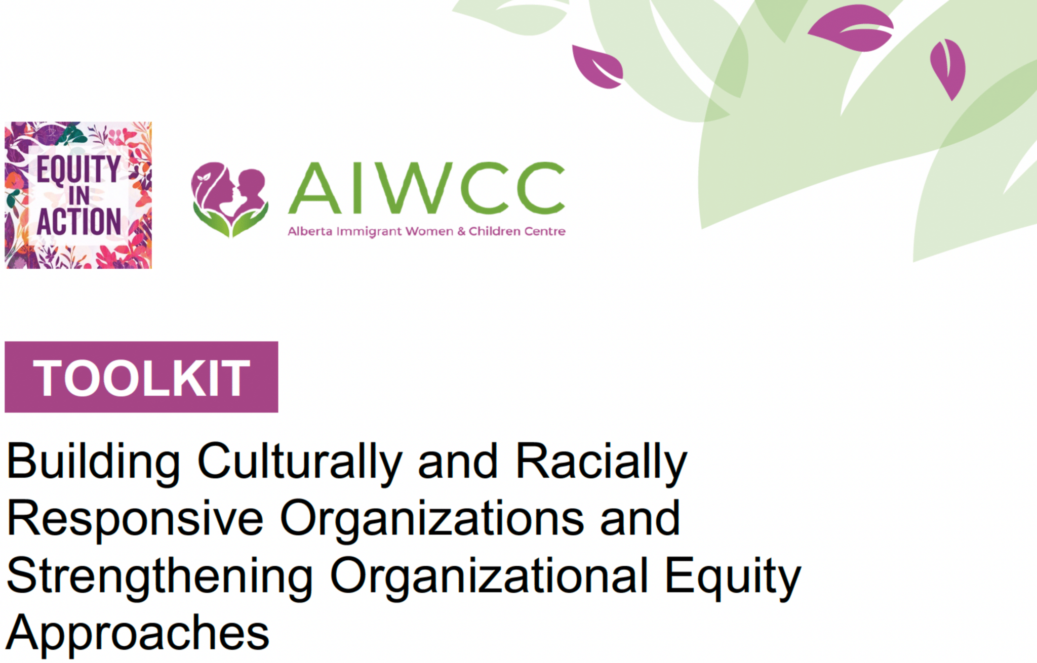Equity Toolkit – AIWCC
